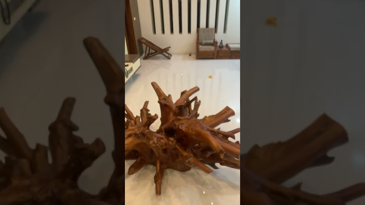 Interior Decor idea with Big Tree Root #shorts