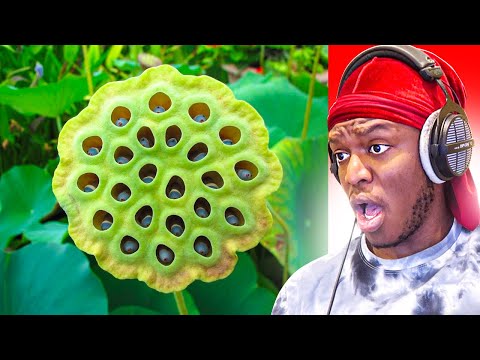 TOP 10 WEIRDEST PHOBIAS TO EVER EXIST