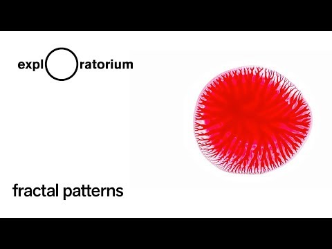 Fractal Patterns - Science Snack Activity