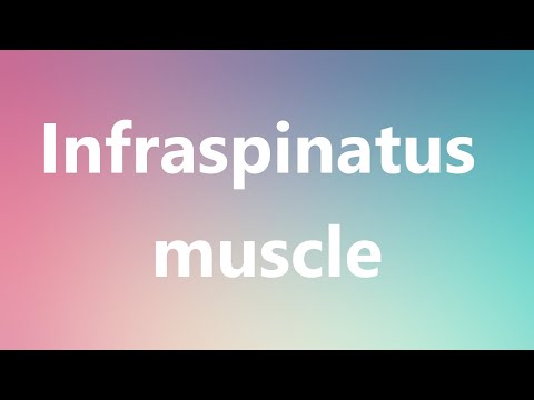 Infraspinatus muscle - Medical Meaning and Pronunciation