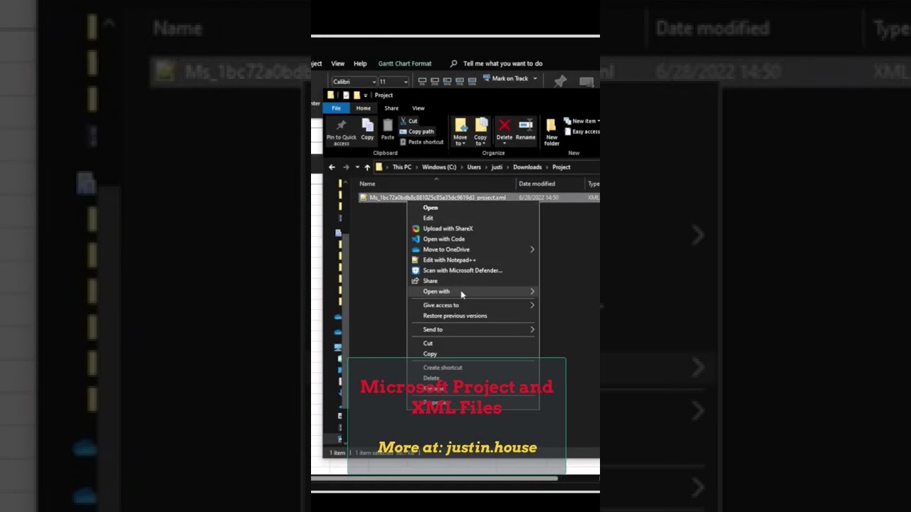 Microsoft Project and XML Files