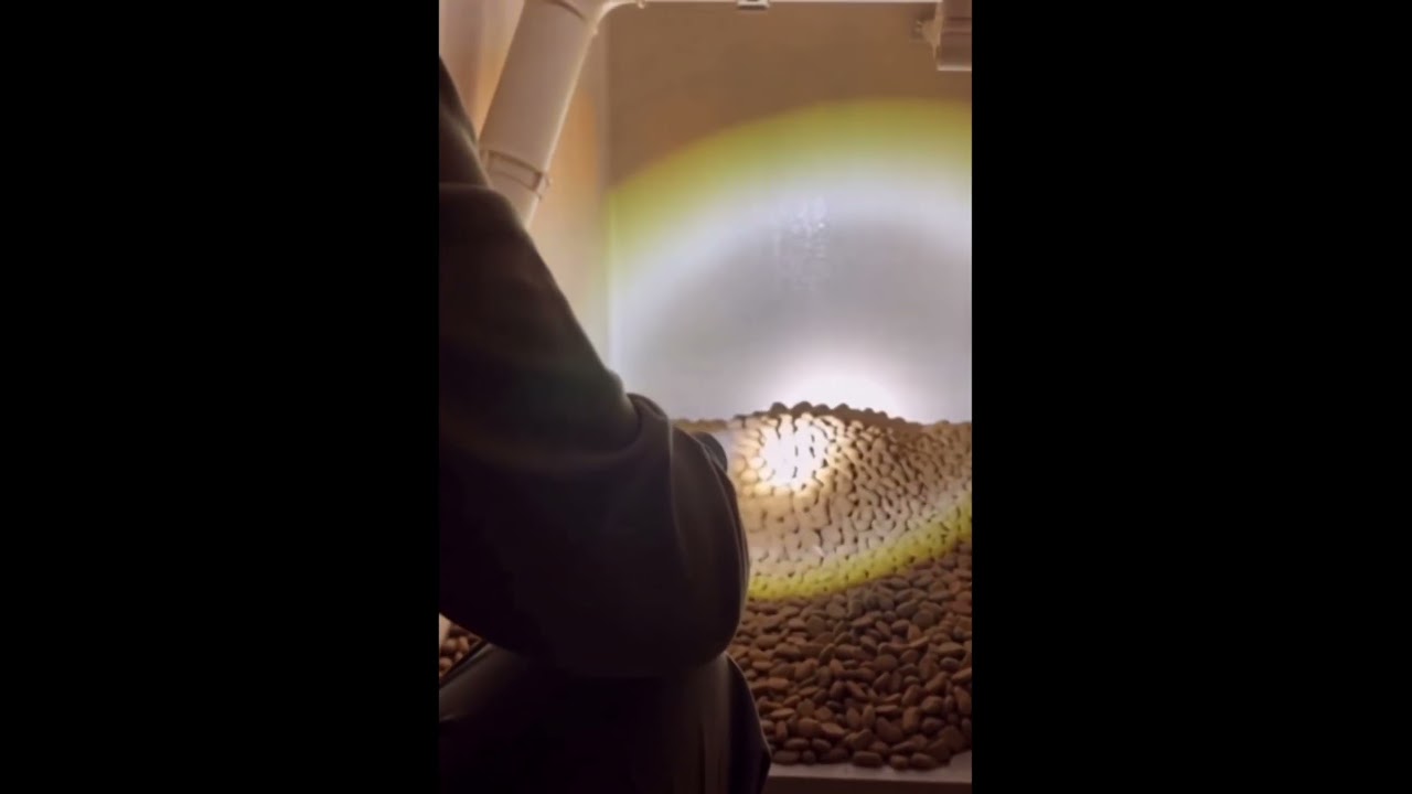 A myth about werewolf creature and its transformations