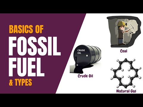 Fossil Fuel Basics and Types | Simple Science