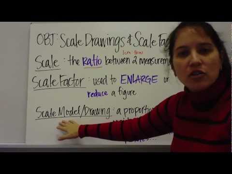 Scale Factors