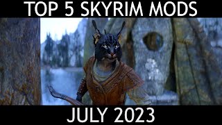 The Top 5 Skyrim Mods of July 2023 at Skyrim Special Edition Nexus ...