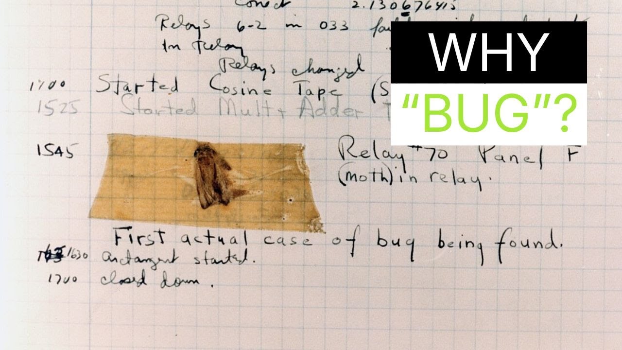 Why software errors are called “bugs”