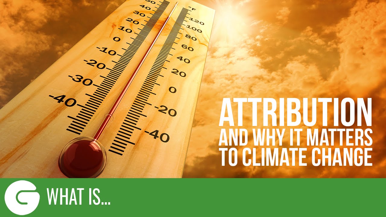 What Is Attribution (And Why It Matters)?