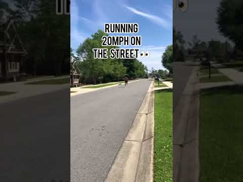 Athlete runs faster than the speed limit! 20mph on the street.