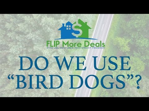 Do We Use "Bird Dogs"?