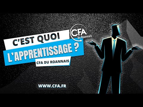 c'est quoi l'apprentissage ?