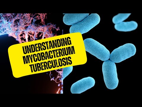 Understanding Mycobacterium tuberculosis