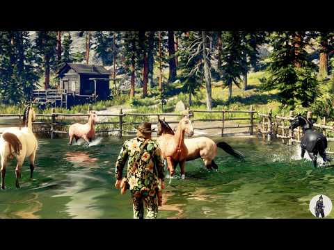 Arthur Tames a Ranch Full of American Standardbred Horses at Aurora Basin 🐎🌲✨