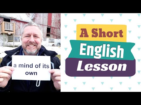 Learn the English Phrases A MIND OF ITS OWN and TO MAKE HEADS OR TAILS OF IT