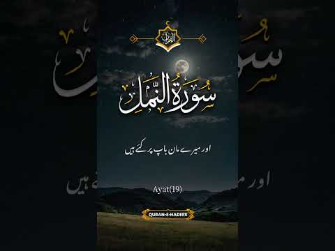 surah namal | surah namal Urdu translation #quranictranslation #quran #surahnamal