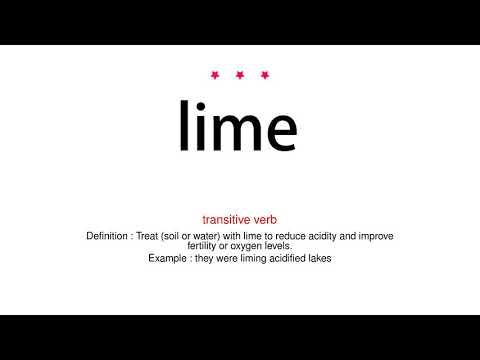 How to pronounce lime - Vocab Today