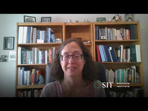 Masters in Intercultural Service, Leadership & Management: leadership in crisis | Dr. Sora Friedman