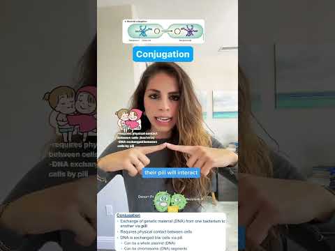 Horizontal gene transfer conjugation in 1 minute #biology #microbiology #science #biotechnology