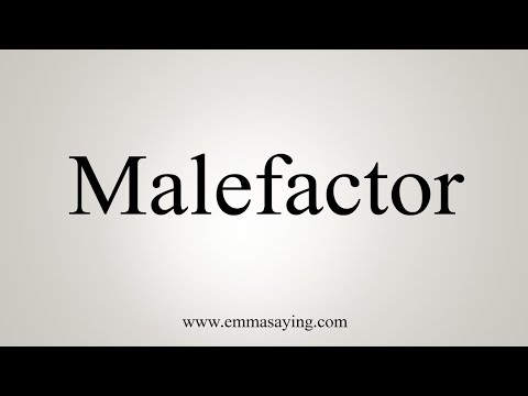 How To Say Malefactor