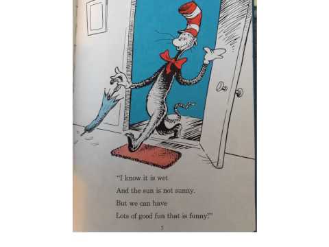 the cat in the hat-rhyme