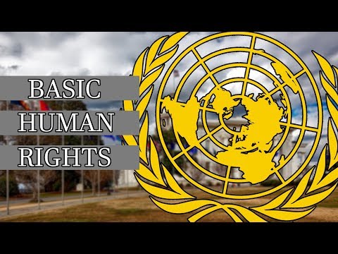 All Basic Human Rights Explained