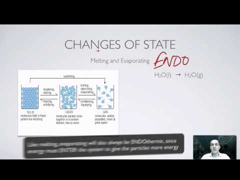 2 Endothermic and Exothermic Processes