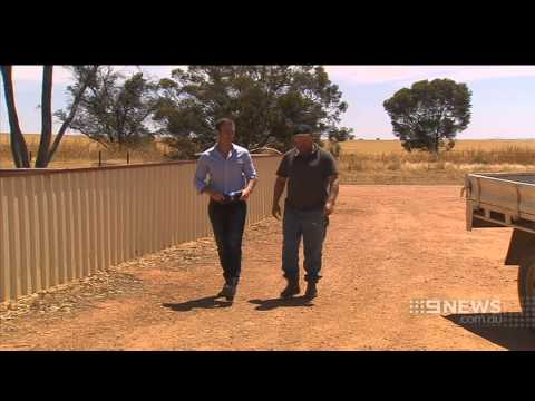 Volunteer Tribute | 9 News Adelaide