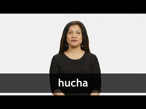 English Translation of “HUCHA” | Collins Spanish-English Dictionary