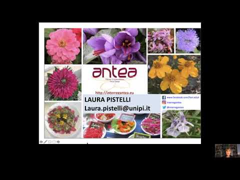 Fiori commestibili: da ornamento a risorsa alimentare