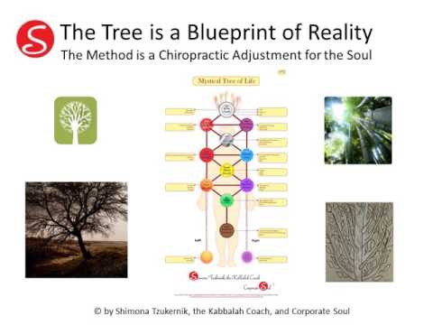 The Kabbalah Coach