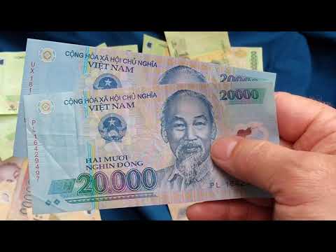 Counting Out the Dongs 400000 using 20k notes
