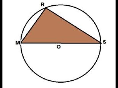 Case study question of chapter circles class 9