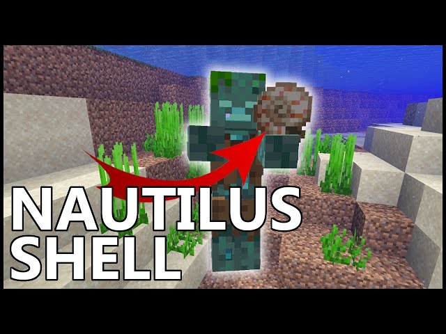 How rare are nautilus shells in Minecraft 1.19 update?