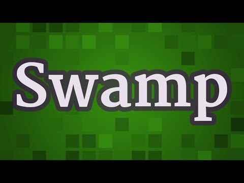SWAMP pronunciation • How to pronounce SWAMP