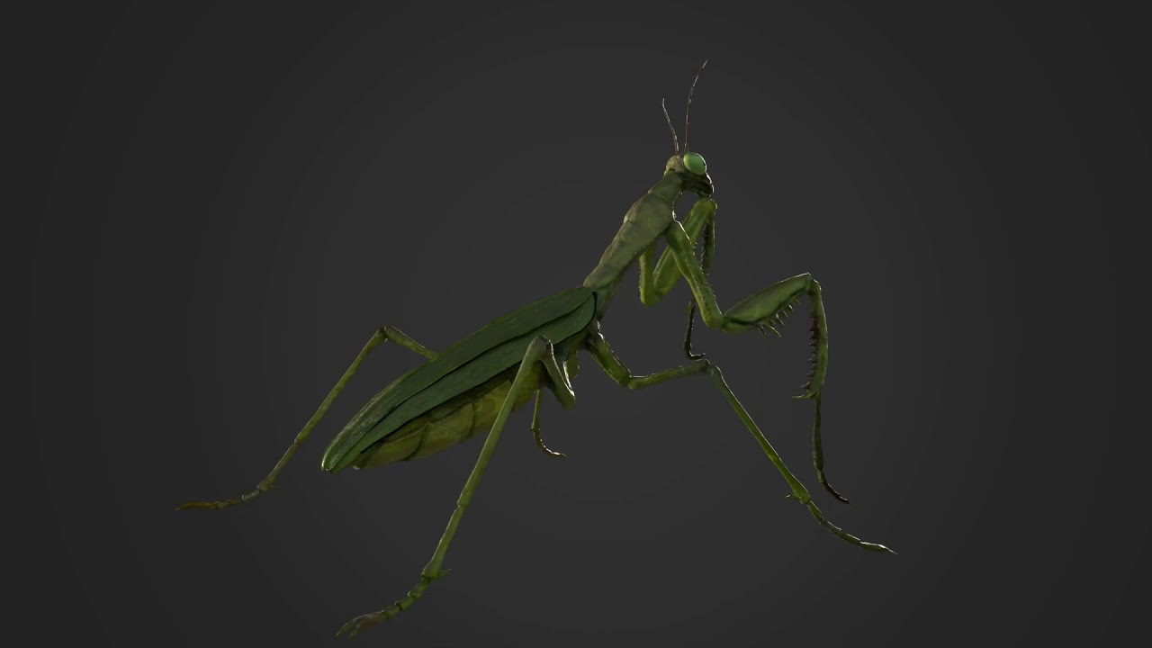Turn Around - Mantis Project