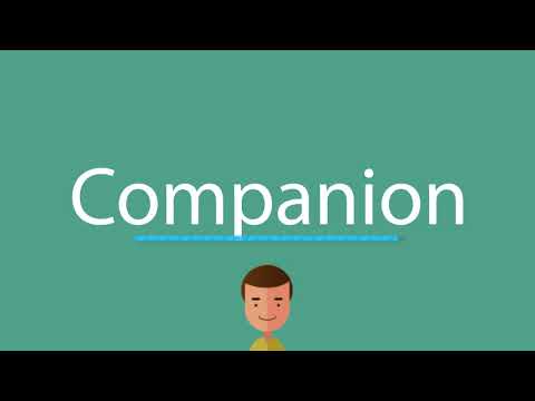 How to say Companion