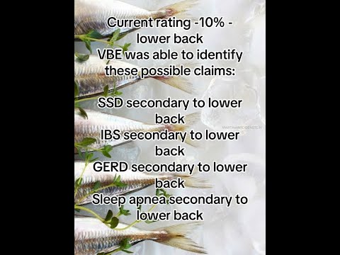 VBE