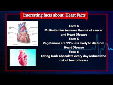Do You Know the Amazing Facts about Heart? Interesting Facts about ...