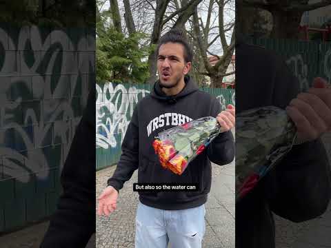 POV: You see someone carrying flowers like THIS in Germany