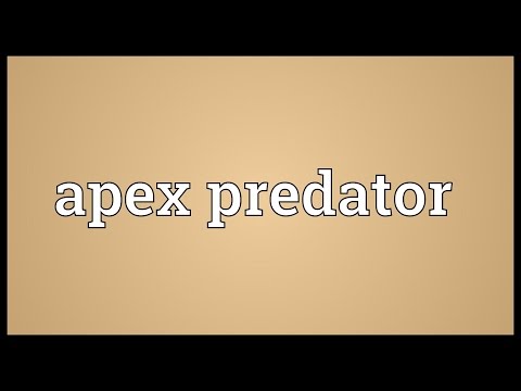 Apex predator Meaning