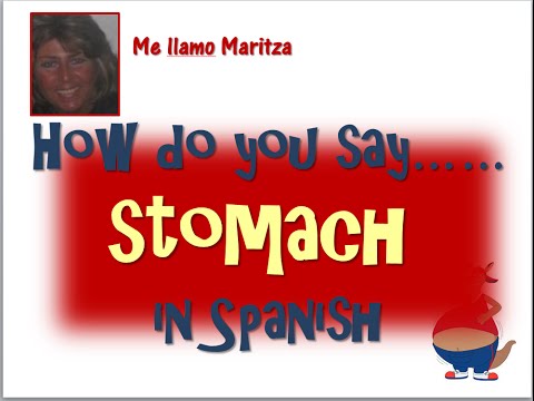 How Do You Say ‘Stomach’ In Spanish-El Estomago