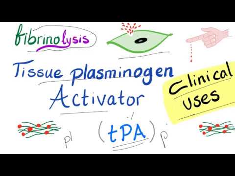 Tissue Plasminogen Activator (tPA) - Uses - Hematology - Pharmacology