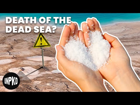 What Can We Do To Stop The Dead Sea From Dying? | Unpacked