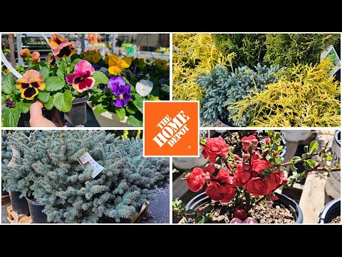 Home Depot NEW ARRIVALS! March 2025 Garden Center Inventory: Spring Trees, Shrubs, & Annual Flowers!