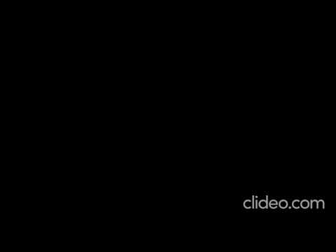 33 clideo editor 86c207e9dc6541a7bd9d08e342fb0d6c