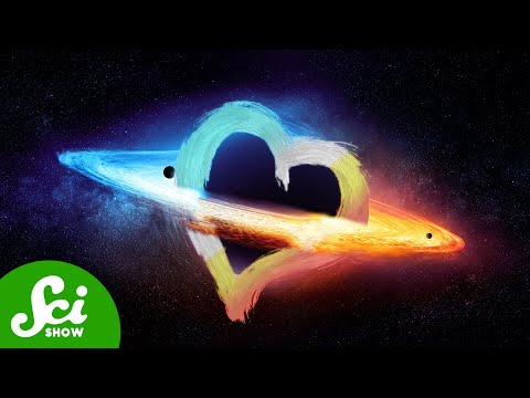 What Shape Are Black Holes? Yes.