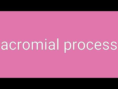 Acromial Process Definition & Meaning