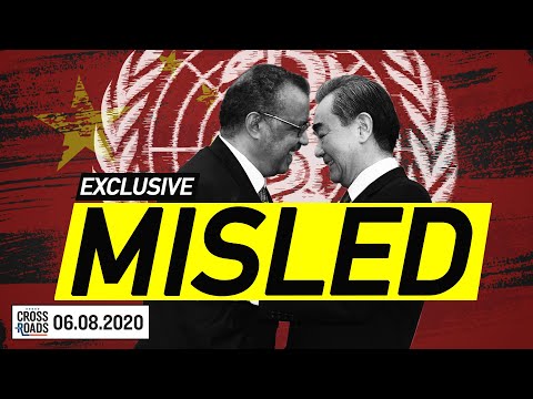 Exclusive Infographic Shows How the WHO Colluded with the CCP, Misleading the World | Joshua Philipp