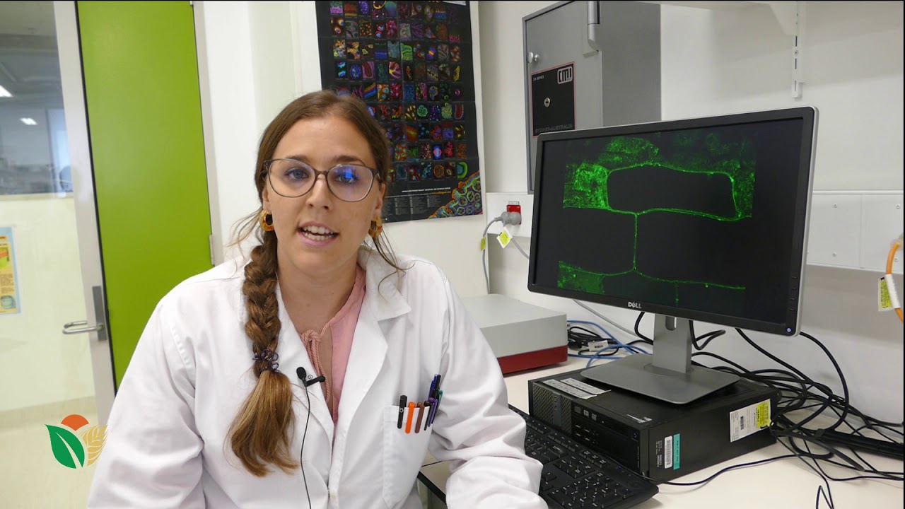 1.8 Using confocal microscopy to find and identify aquaporins in cells for year 11 biology students