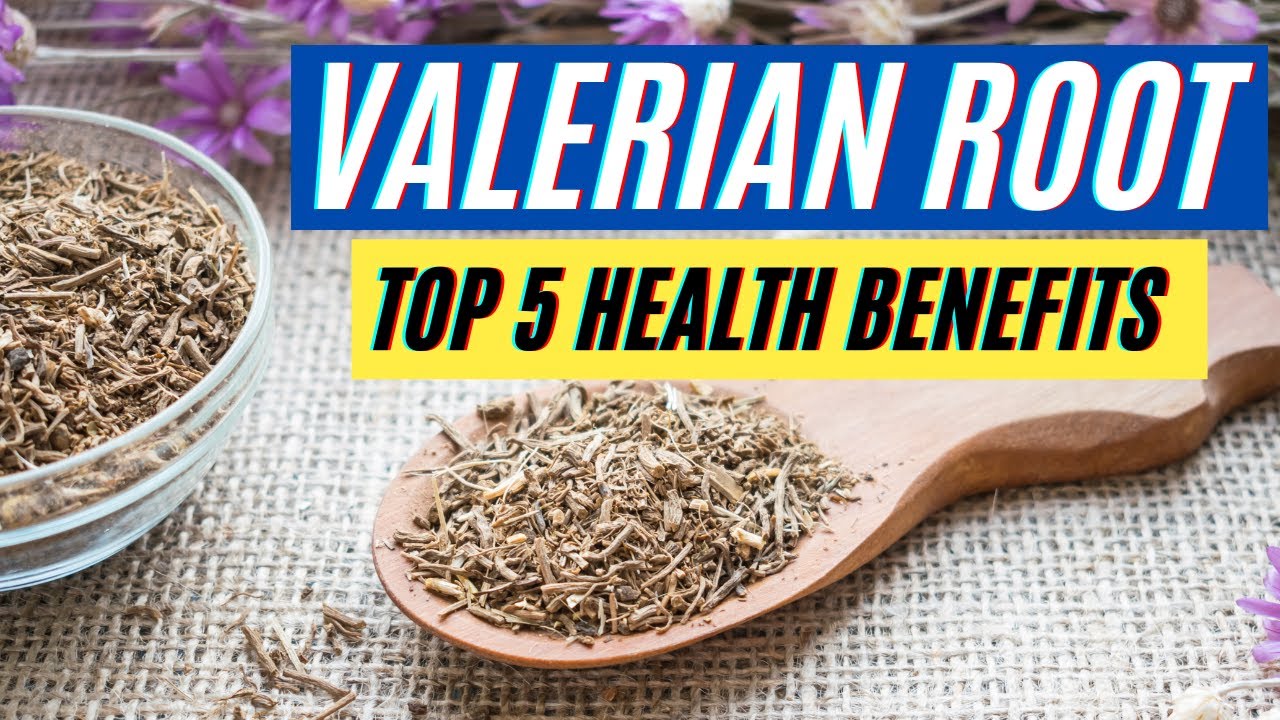 Valerian Root Health Benefits: 5 Powerful Health Benefits