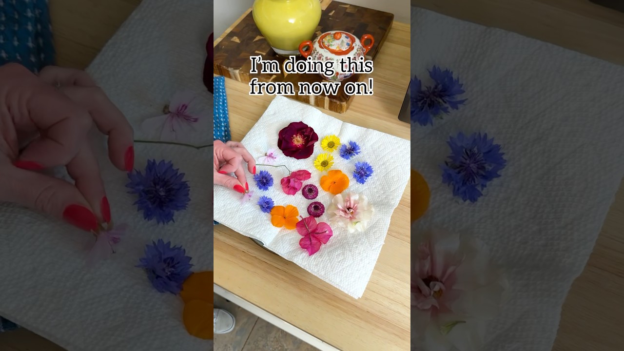 How to press flowers in the microwave! #flowerpressing #flowers #craft #microwave #floraldesign